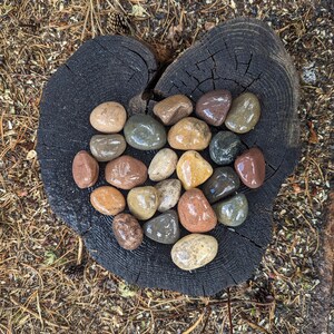 4-5lbs River Rocks Colorful Stones Smooth Aquarium Rocks Terrarium ...