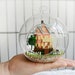 DIY Glass Ball Mini House - Etsy