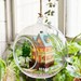 DIY Glass Ball Mini House - Etsy
