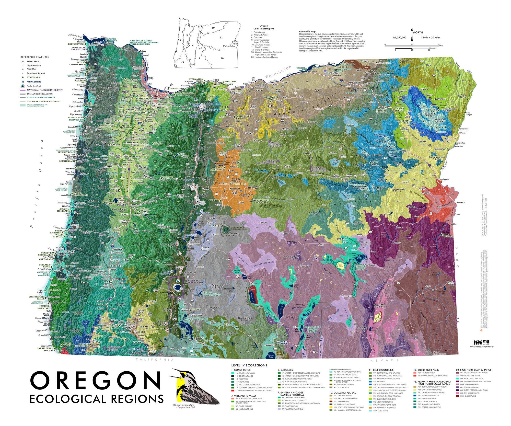 Oregon Ecological Regions 24 in X 20 In - Etsy