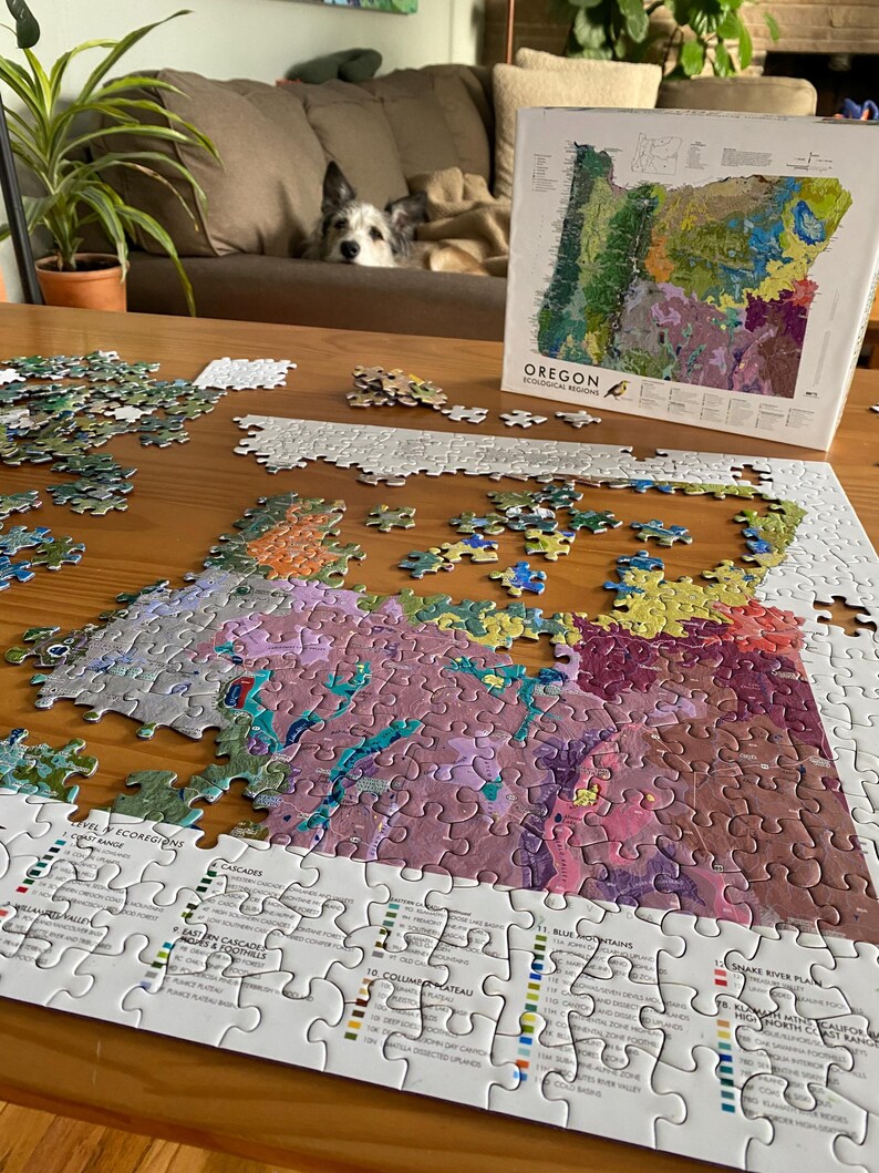 Oregon Ecological Regions Map Puzzle - Etsy