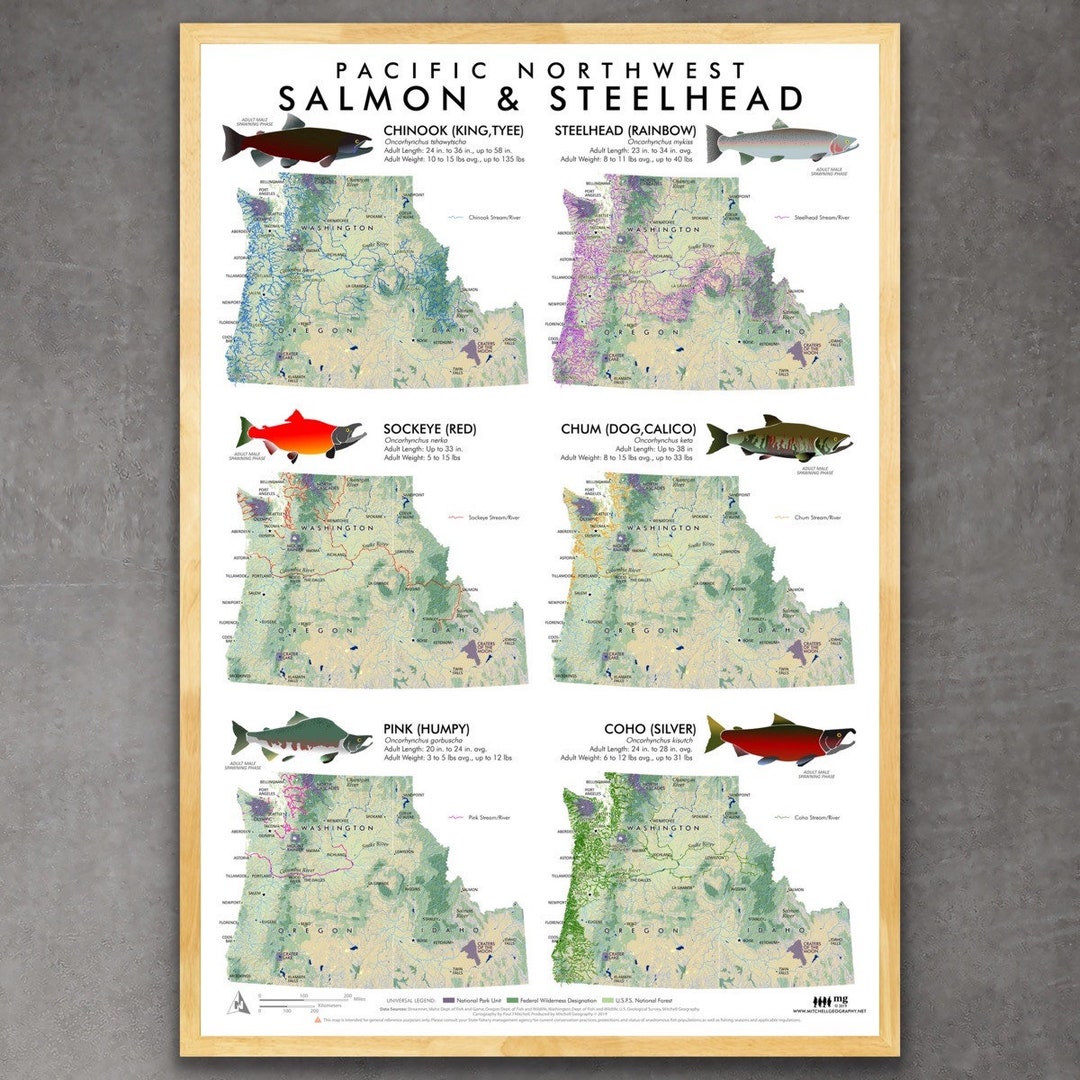 Pacific Northwest Salmon & Steelhead Distribution Map - Etsy
