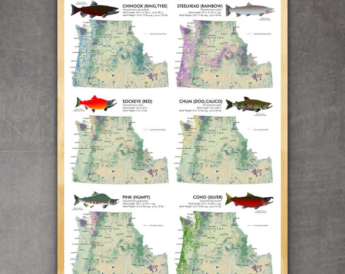 The Pacific Northwest (24 in X 20 In) - Etsy