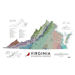 Virginia Ecological Regions - Etsy