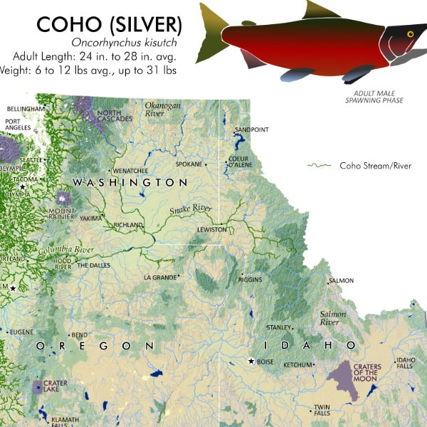 Pacific Northwest Salmon & Steelhead Distribution Map - Etsy