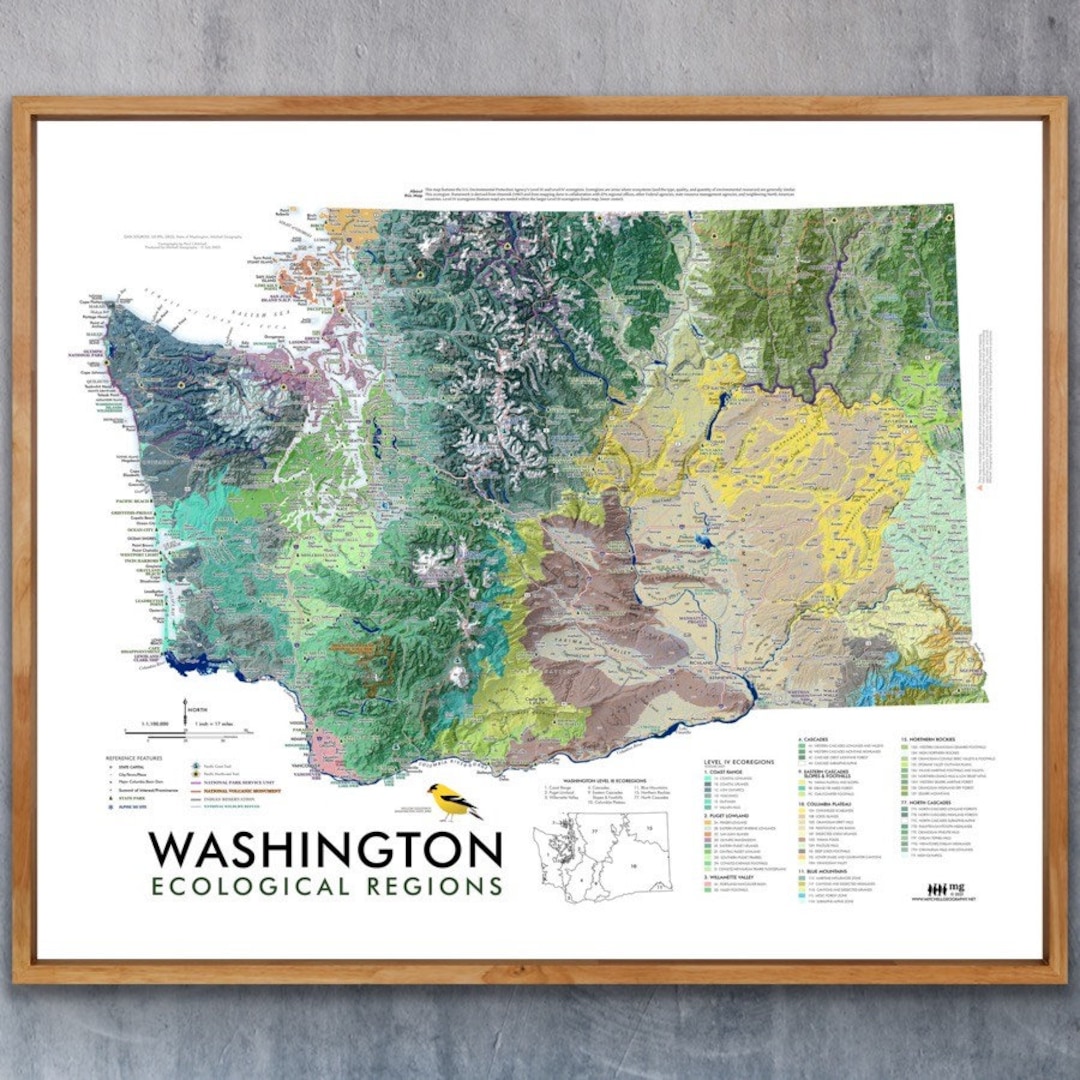Washington Ecological Regions Map (24 Inch X 20 Inch) - Etsy