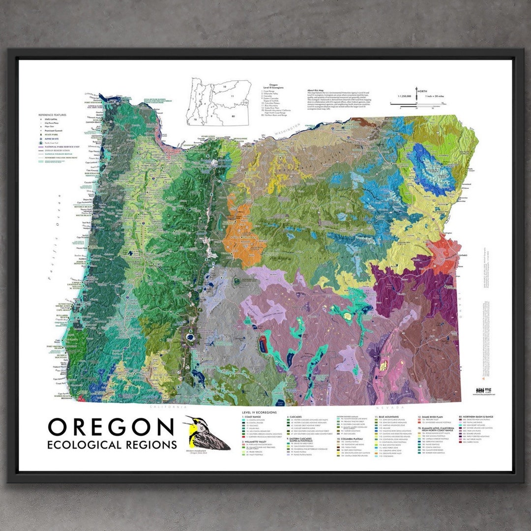 Oregon Ecological Regions 24 in x 20 in - Etsy México