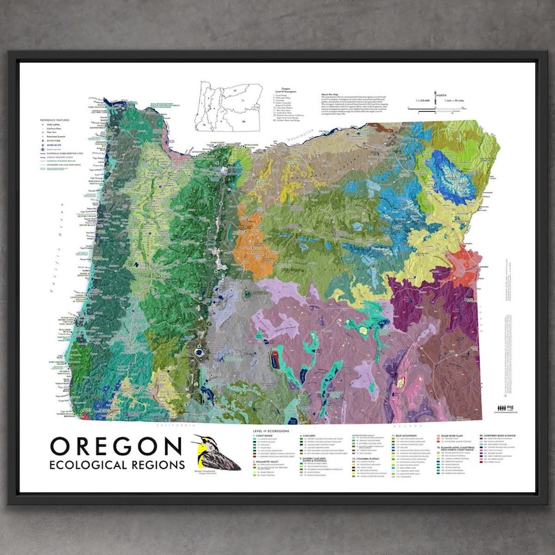 Oregon Ecological Regions 24 in X 20 In - Etsy