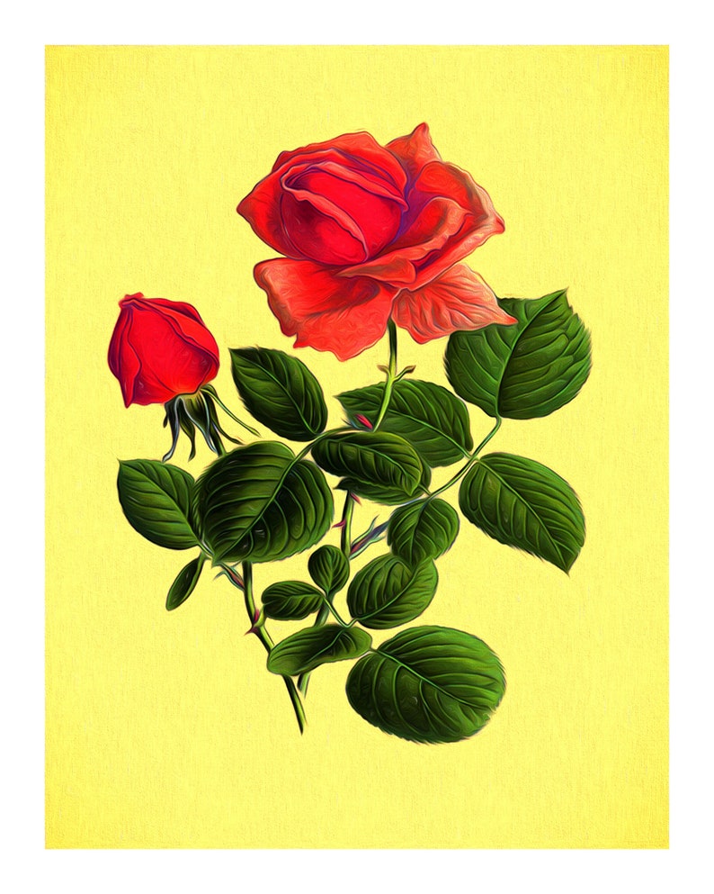 Vintage Red Tea Roses Print. Frame It Yourself and SAVE! - Etsy