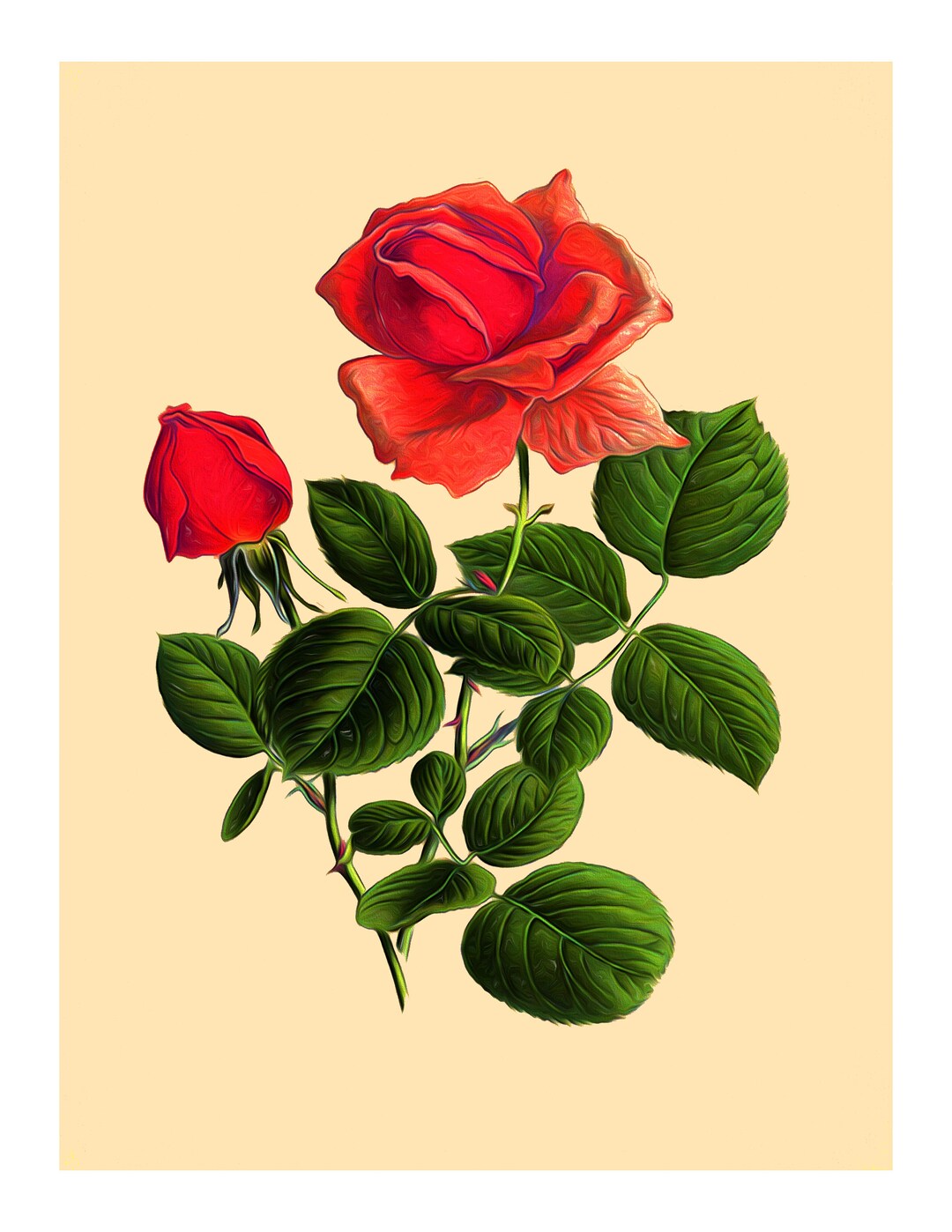 Vintage Red Tea Roses Print. Frame It Yourself and SAVE! - Etsy