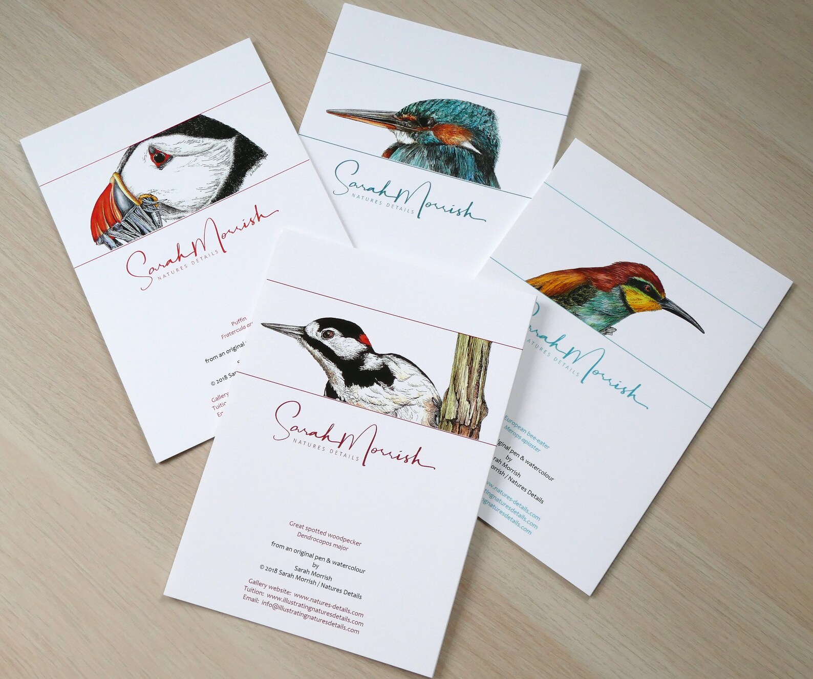 Birds Card Set x4 Cards - Etsy