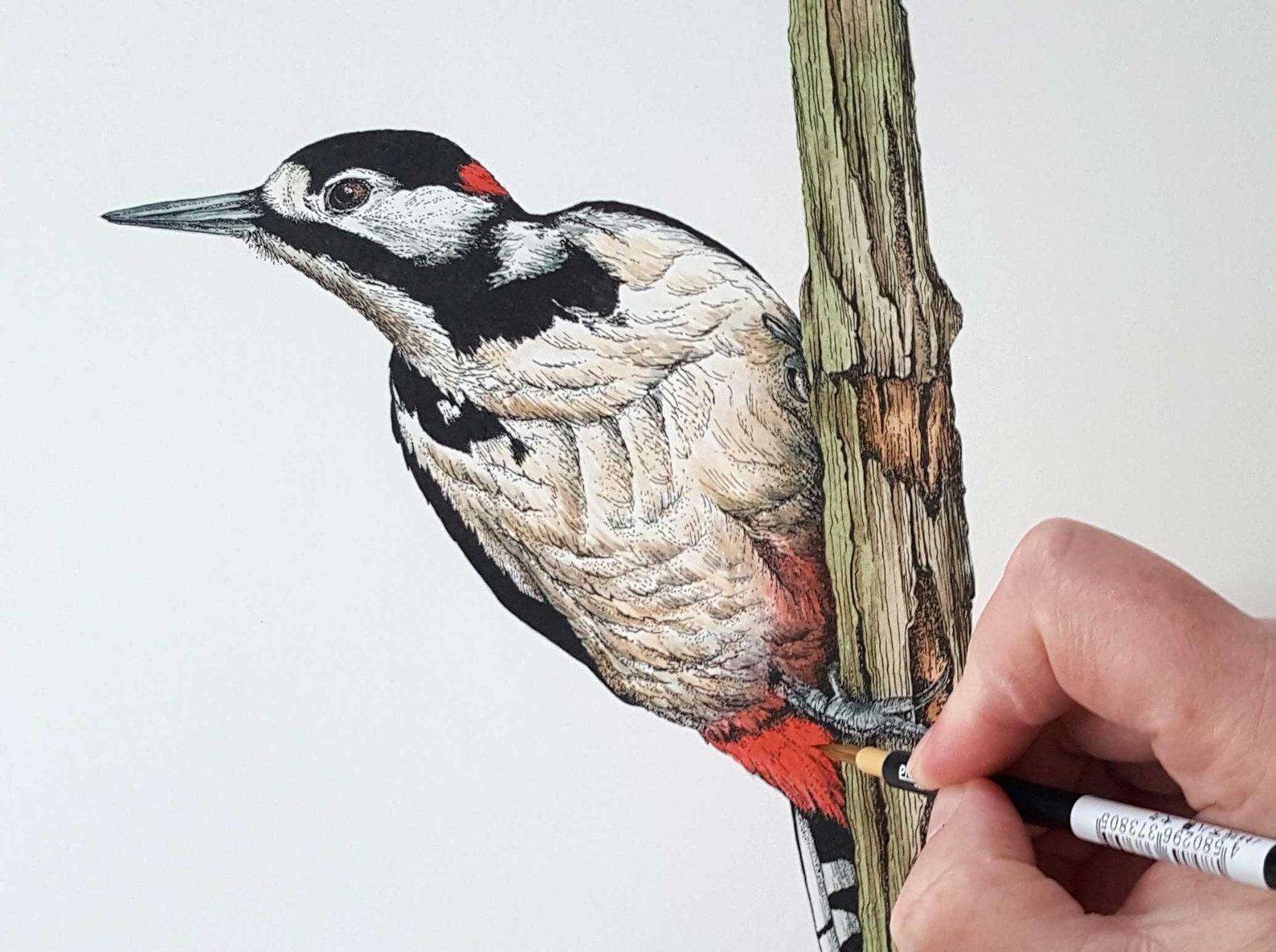 Birds Card Set x4 Cards - Etsy