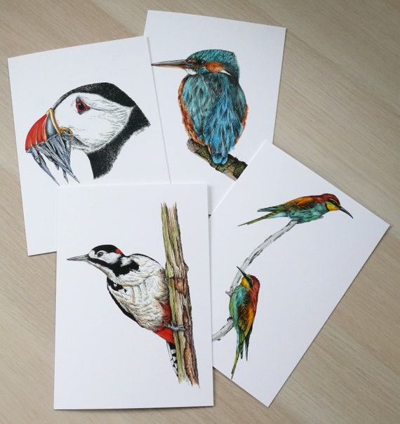 Birds Card Set x4 Cards | Etsy