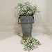 Vintage Zinc Flower Bucket, Belgium - Etsy