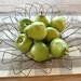Vintage Zinc Flower Bucket, Belgium - Etsy