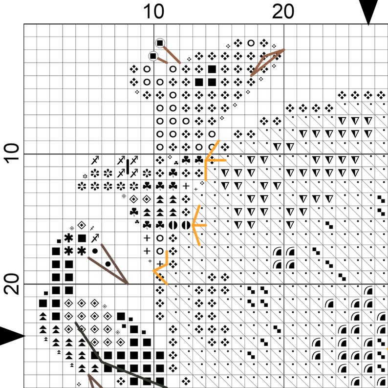 Biology Animal Cell Cross Stitch Pattern PDF Instant Download - Etsy