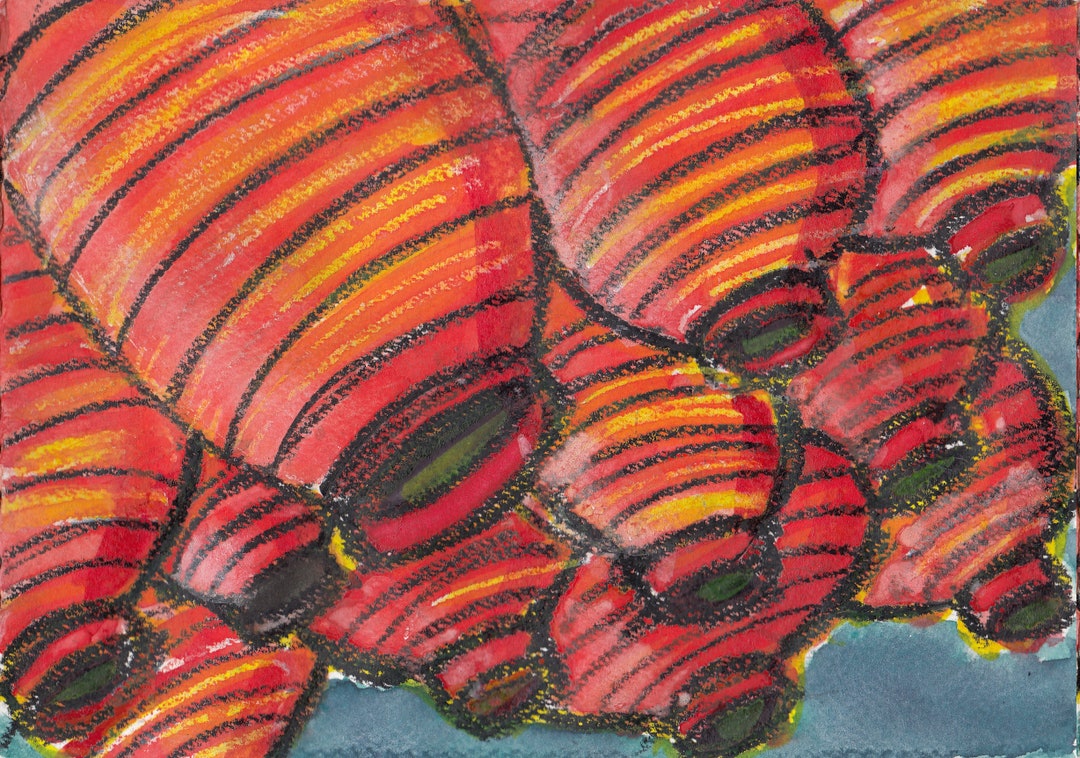 Japanese Paper Lanterns — Bonbori | Chōchin | Tōrō | Light - Etsy UK