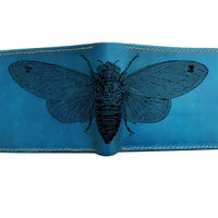 Giant Water Bug Belostoma Money Clip ~ Engraved Stainless Steel - Etsy