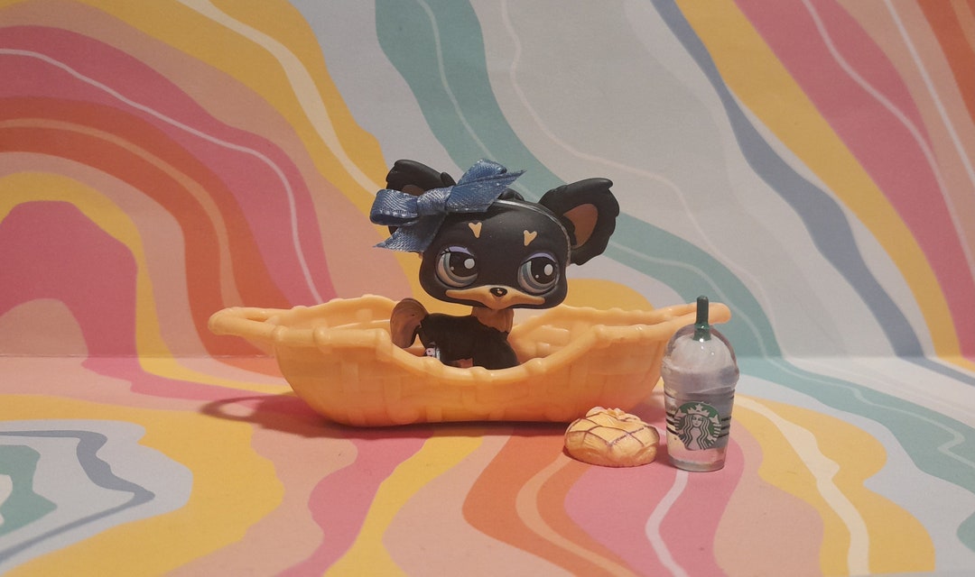 Authentic Vintage LPS Brown Long Hair Chihuahua 1571 Accessories - Etsy