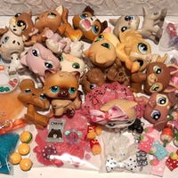 Littlest Pet Shop Jackets - Etsy