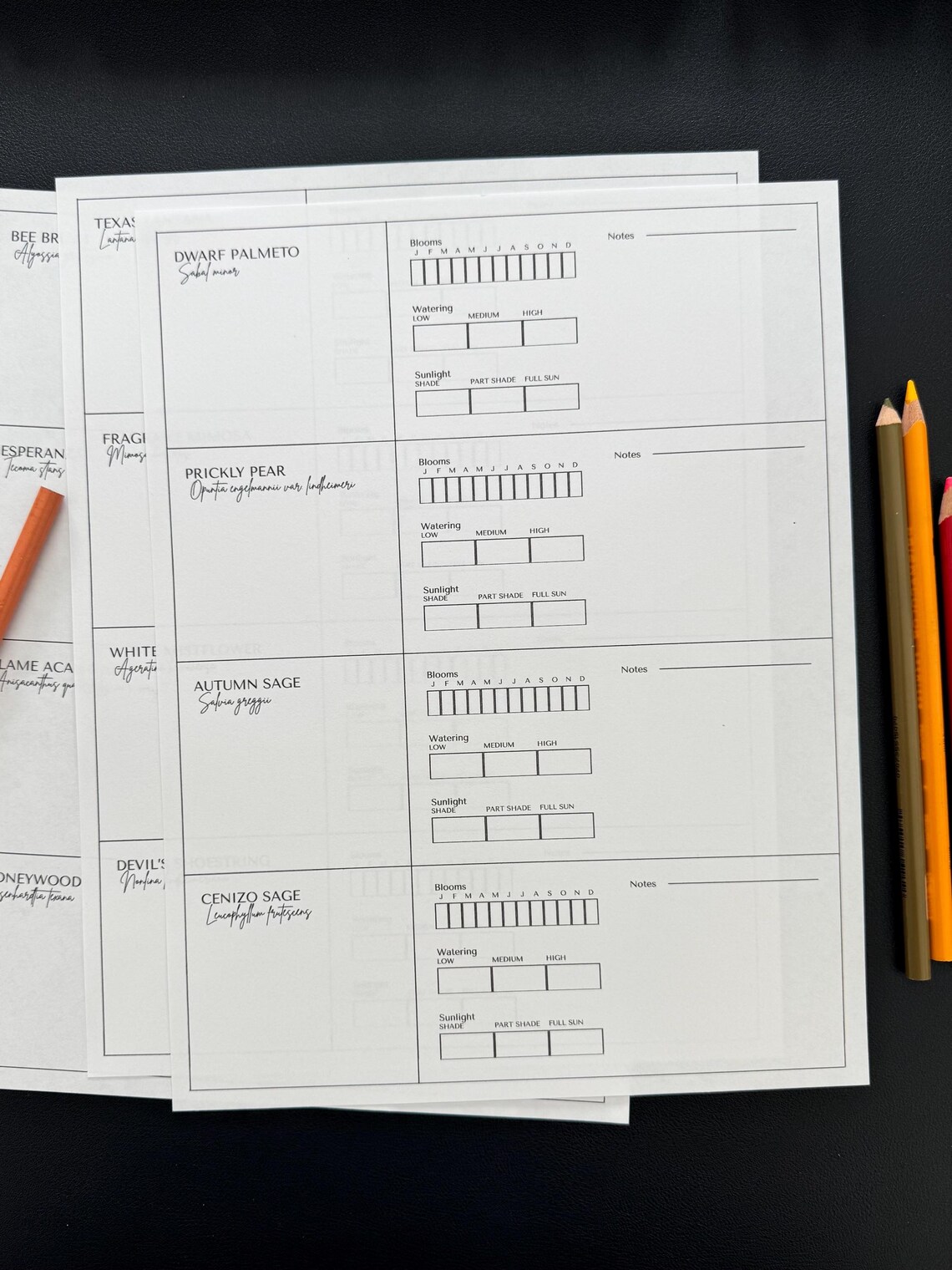 Native Plant Workbook, Coloring Pages, Discovery, Scavenger Hunt Sheets ...