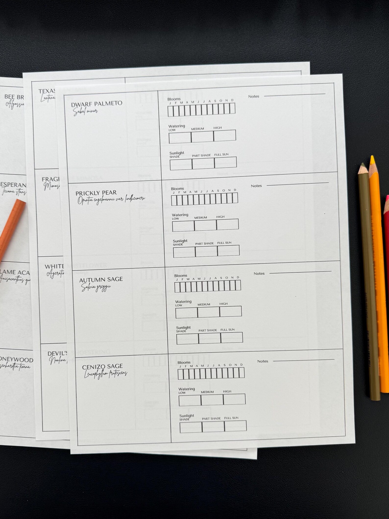 Native Plant Workbook, Coloring Pages, Discovery, Scavenger Hunt Sheets ...