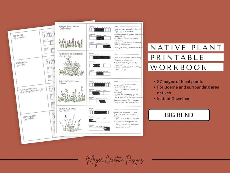 Native Plant Workbook, Coloring Pages, Discovery, Scavenger Hunt Sheets ...
