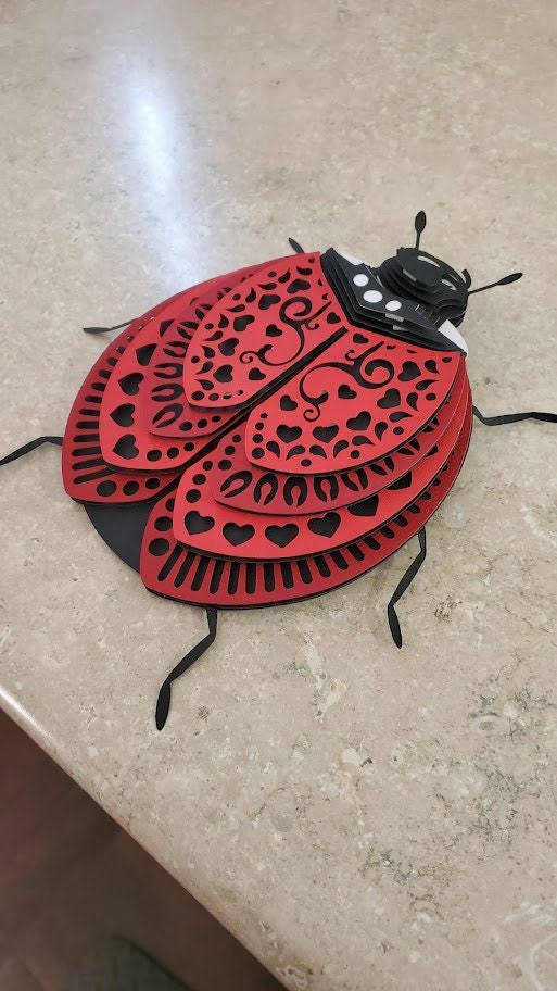 Mandala Layered Lady Bug SVG File by Cindy Duke - Etsy