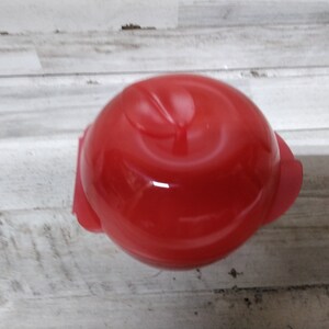 Tupperware Fruit Container / Apple Tupperware Container / Snack on the ...