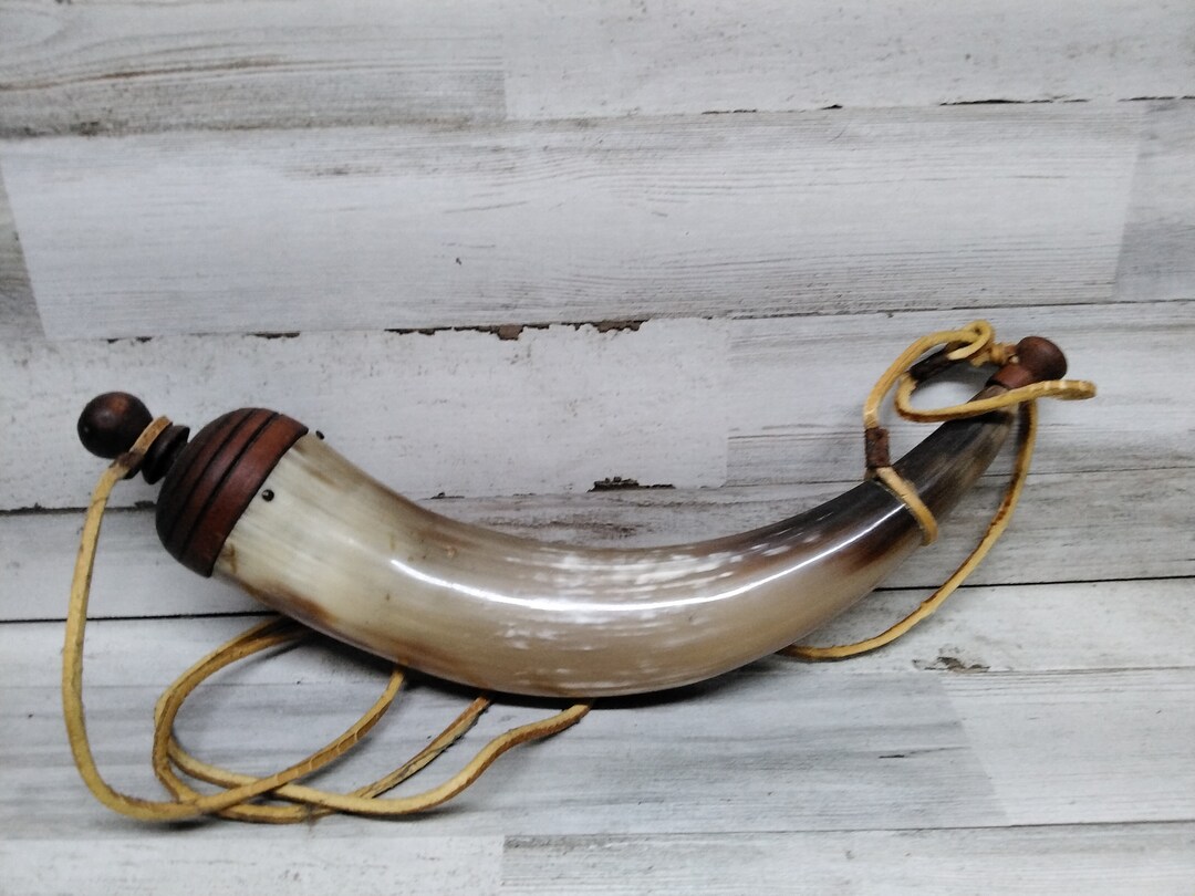 Vintage Powered Horn, Polished Horn With Hanger Straight From Melrose ...
