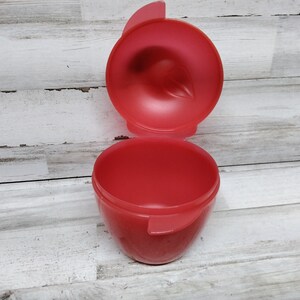 Tupperware Fruit Container / Apple Tupperware Container / Snack on the ...
