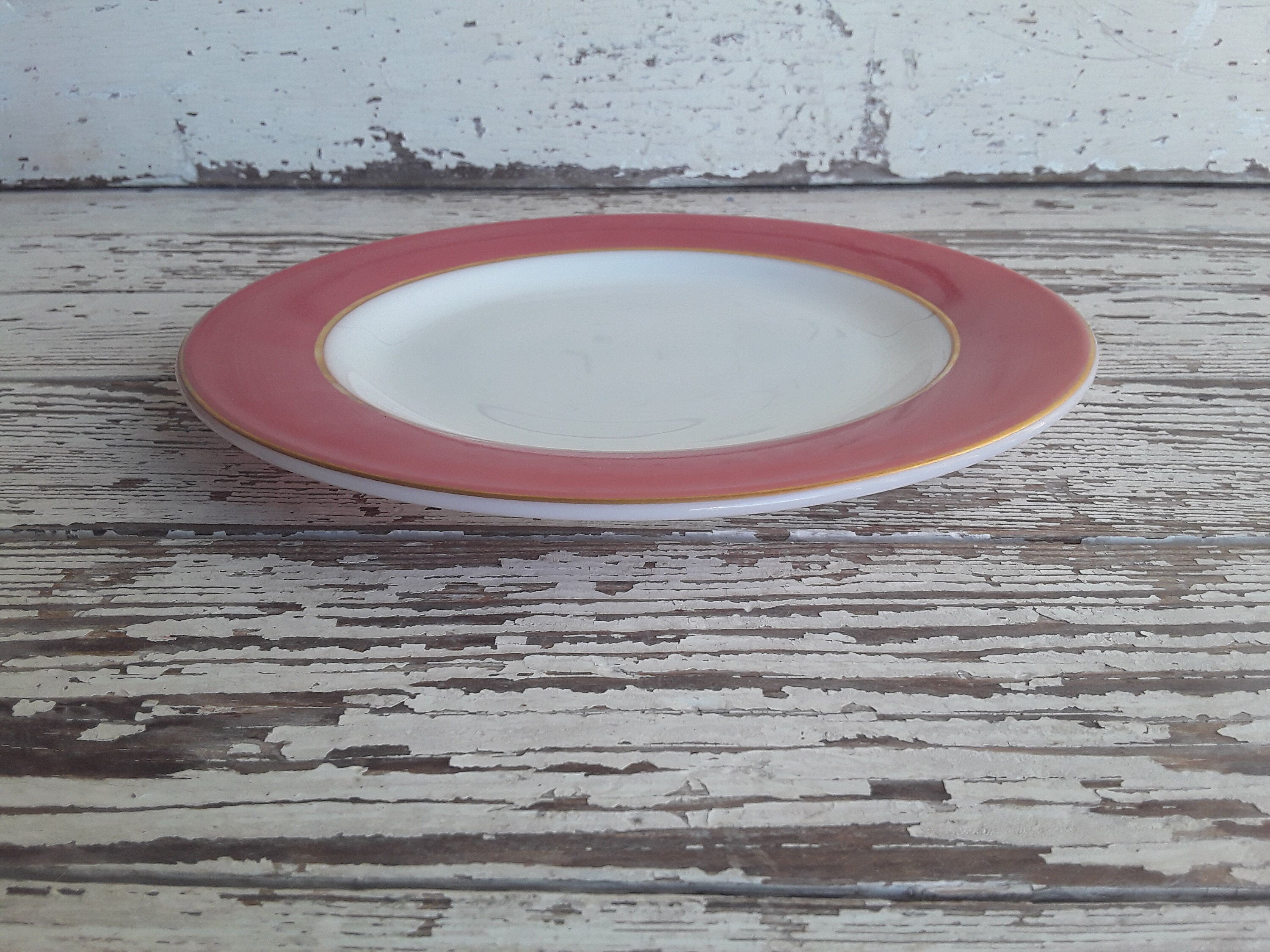 Vintage Pyrex Coral Band /gold Trim Plate Vintage PYREX - Etsy