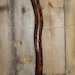SASSAFRAS WALKING STICK 37 1/2" Tall - Etsy