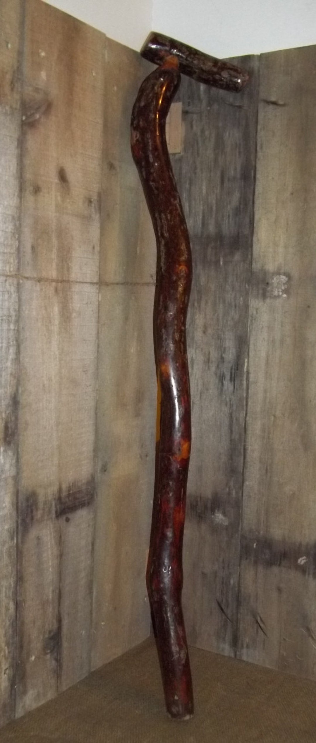 SASSAFRAS WALKING STICK 37 1/2" Tall - Etsy