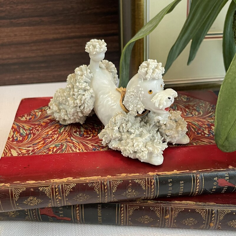 Spaghetti Poodles - Etsy