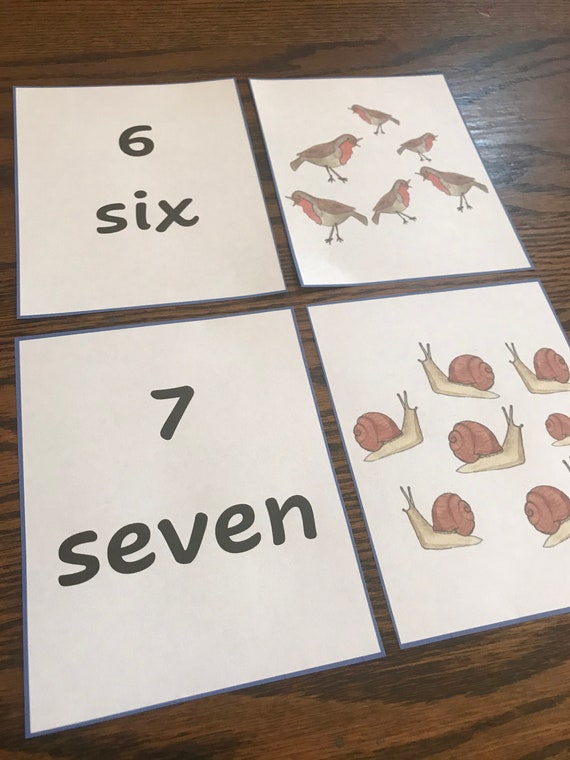 Number Counting Cards 1-10 and Counting Activity Sheets With | Etsy