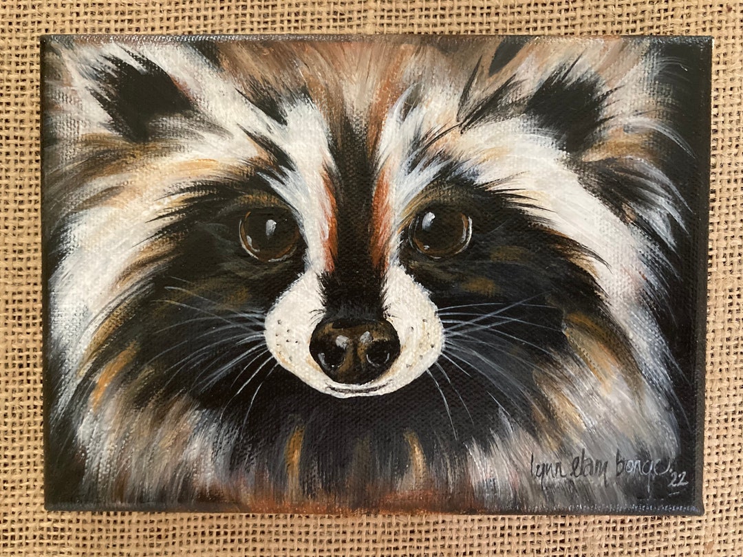 Ruby Lou the Raccoon - Etsy