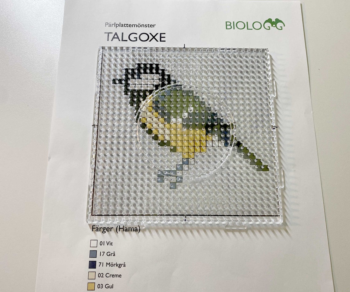 Forest Birds Perler Template - Etsy