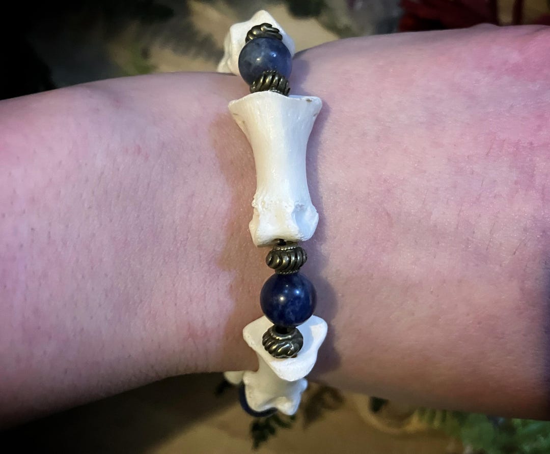 Bone Bracelet Alligator Toe Bone and Sodalite Beaded Bracelet Witchy ...