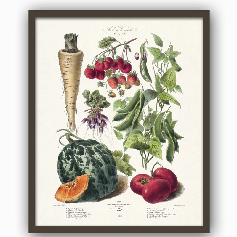 Botanical Poster - Etsy