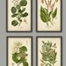 Set of 4 Plant Decoration Posters and Prints Wall Art Painting Wall ...