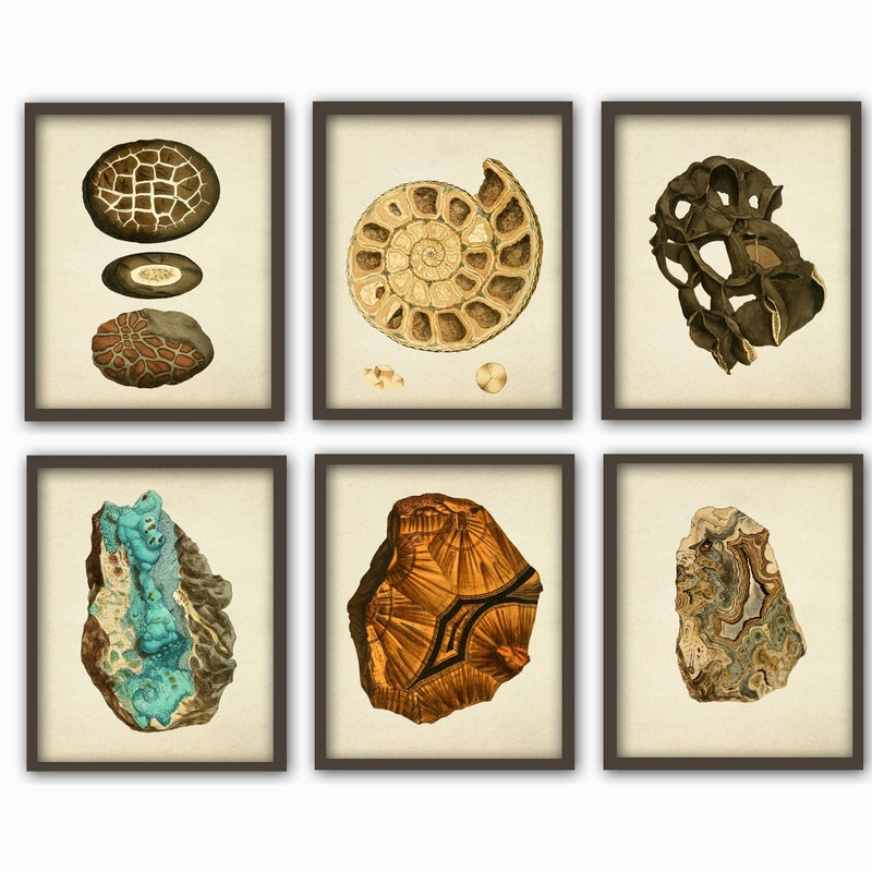 Geology Print - Etsy