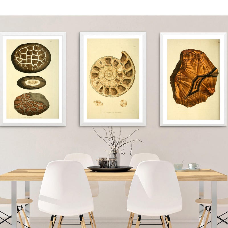 Geology Decor - Etsy