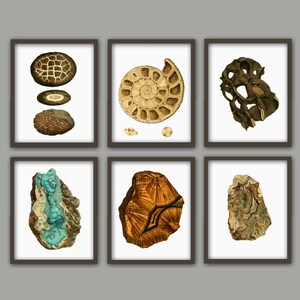 Stones Mineral Print Set, Geology Art Decor, Wall Art Print Set of 6 - Etsy