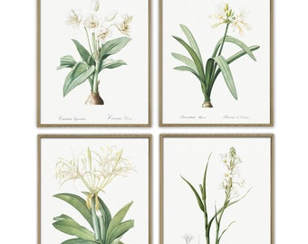 Botanical Print Set | Etsy