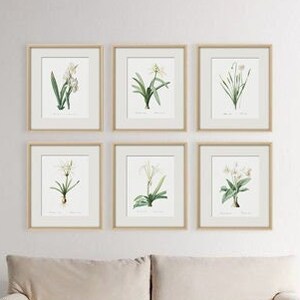Flower Print Set, Flower Wall Art Decor, Flower Collage, Flower Wall ...