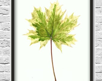 Maple leaf print | Etsy