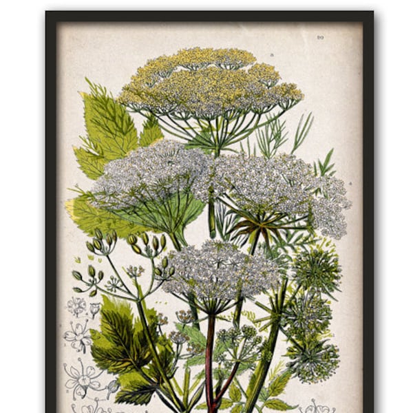 Large Botanical - Etsy