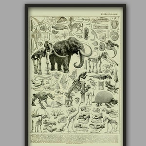 Prehistoric Animals Poster, Fossil Mammoth Dinosaur Skeleton Print ...