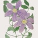 Flower Print Set, Flower Wall Art, Botanical Wall Art Decor, Flowers ...